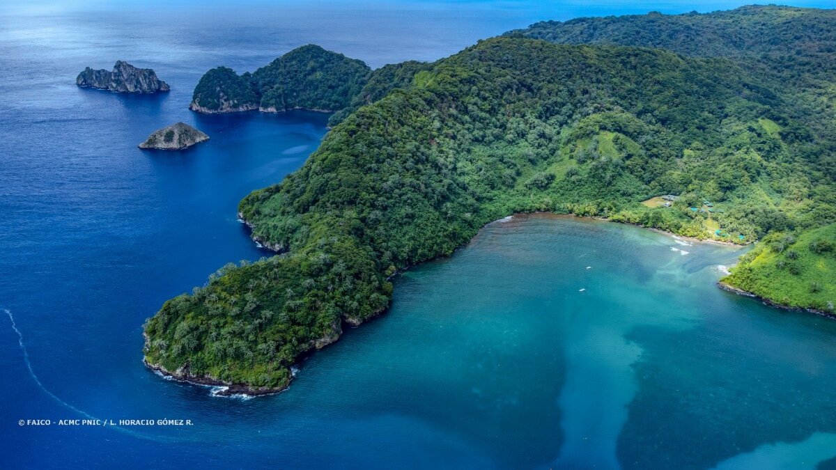 Hacia la equidad de género en conservación marina: Los esfuerzos del ...
